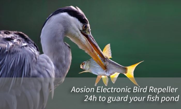 Aosion electronic bird repeller 24h to guard your fish pond