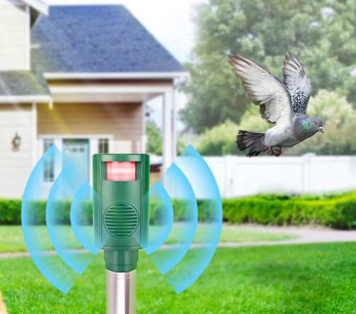 Aosion electronic bird repeller 24h to guard your fish pond