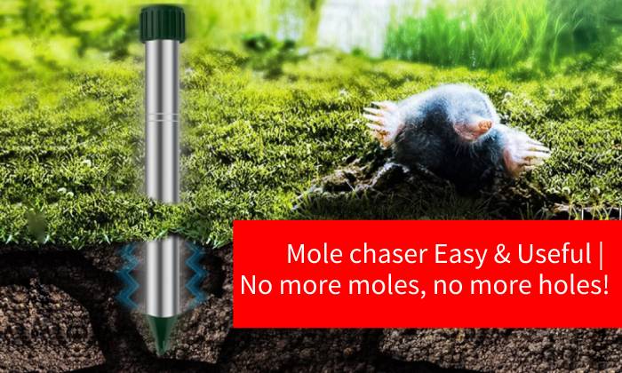 Mole chaser Easy & Useful | No more moles, no more holes!